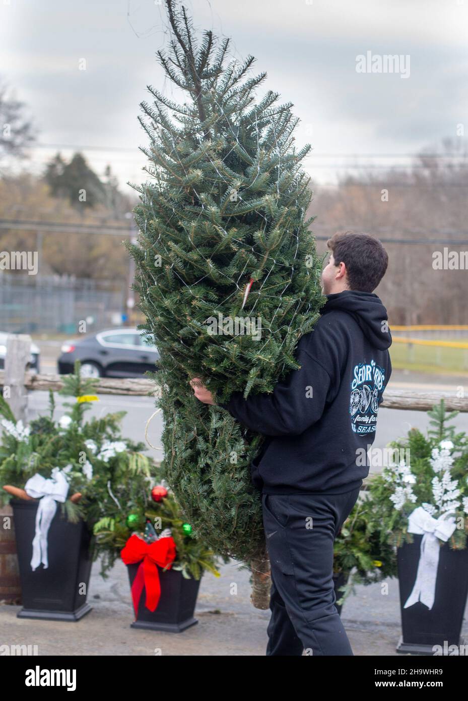 Carrying customers hi-res stock photography and images - Alamy