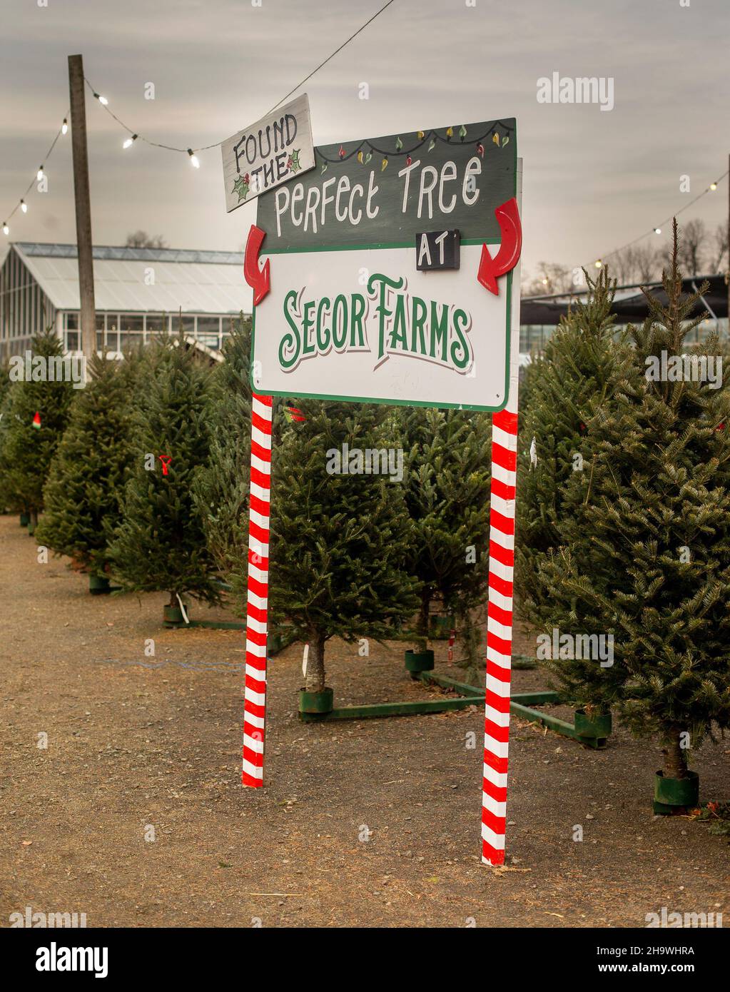 Christmas sale sign hi-res stock photography and images - Alamy