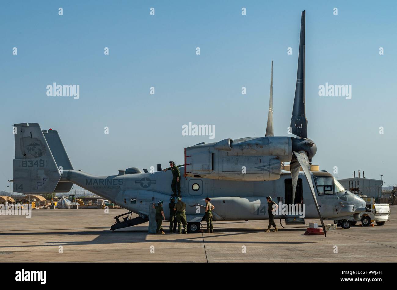 U.S. Marines with Marine Medium Tiltrotor Squadron (VMM) 161 (Reduced ...