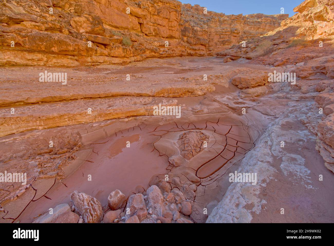 A mud pit in a slot canyon along Cathedral Wash in Glen Canyon ...