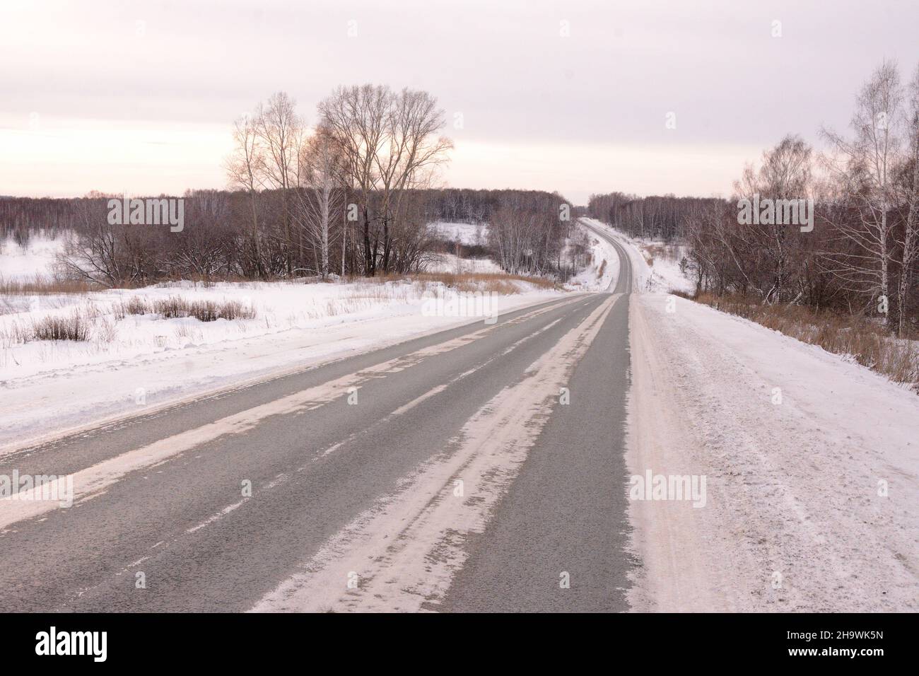 A power line on tall metal poles runs through a forest clearing on a ...