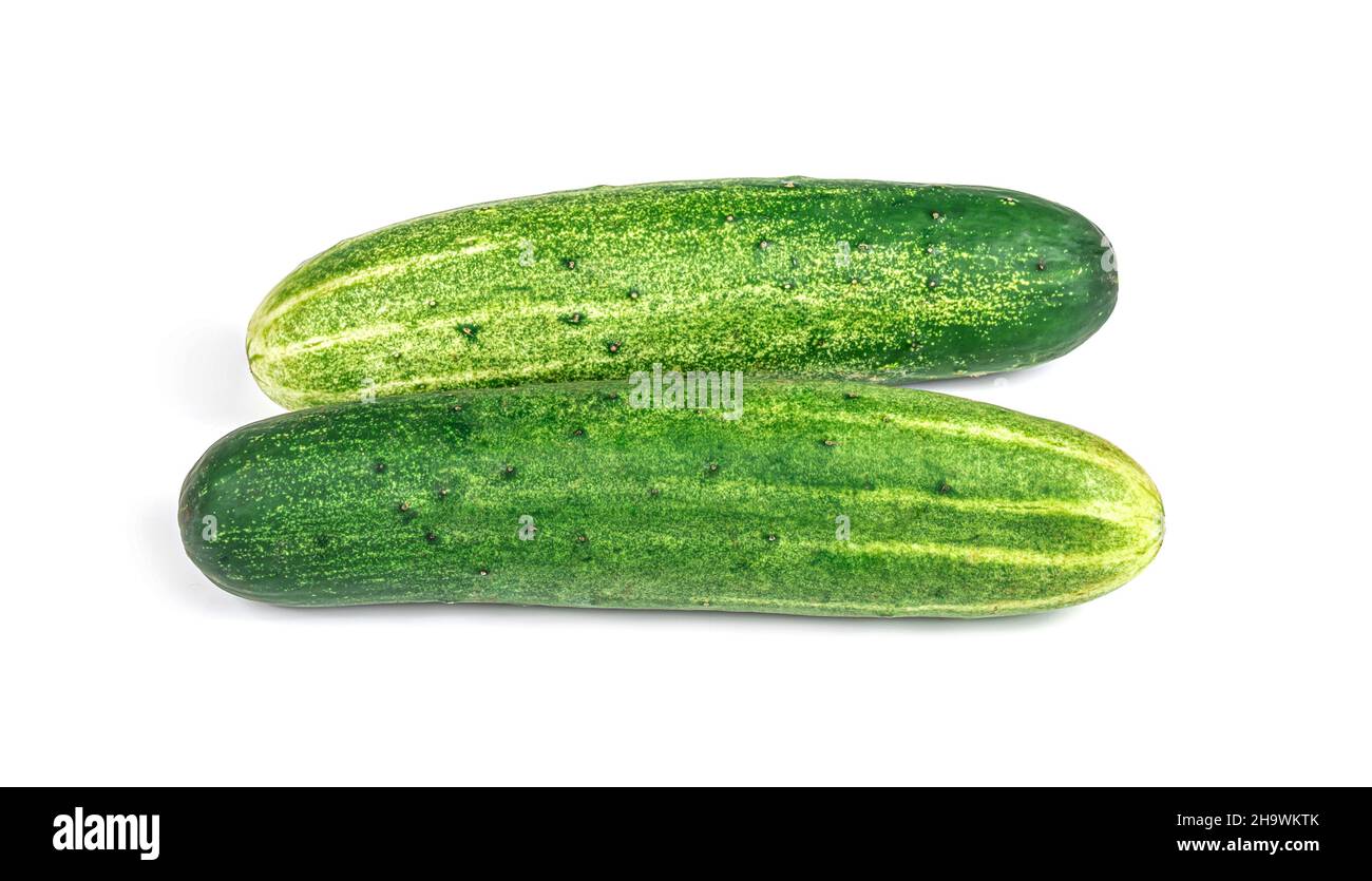 Two cucumbers on an isolated white background Stock Photo - Alamy
