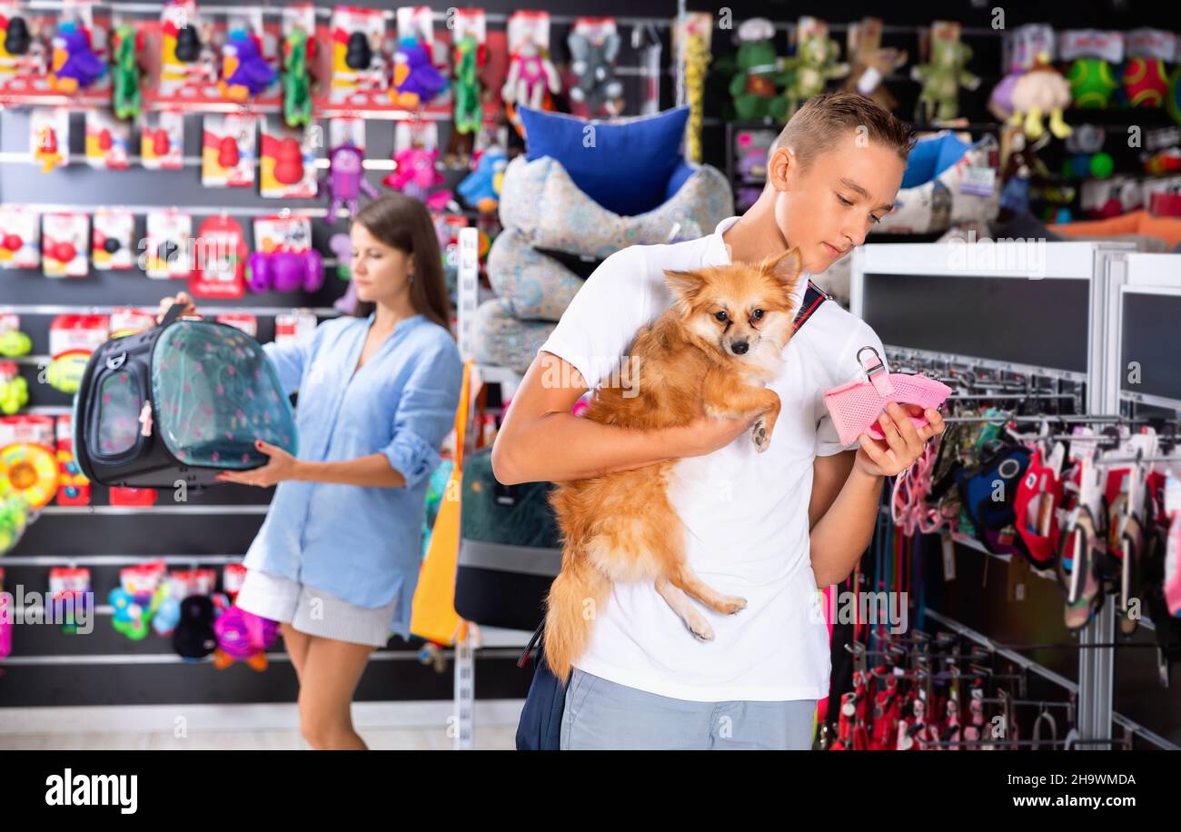 Positive young man with dog in pet store during shopping with man Stock ...
