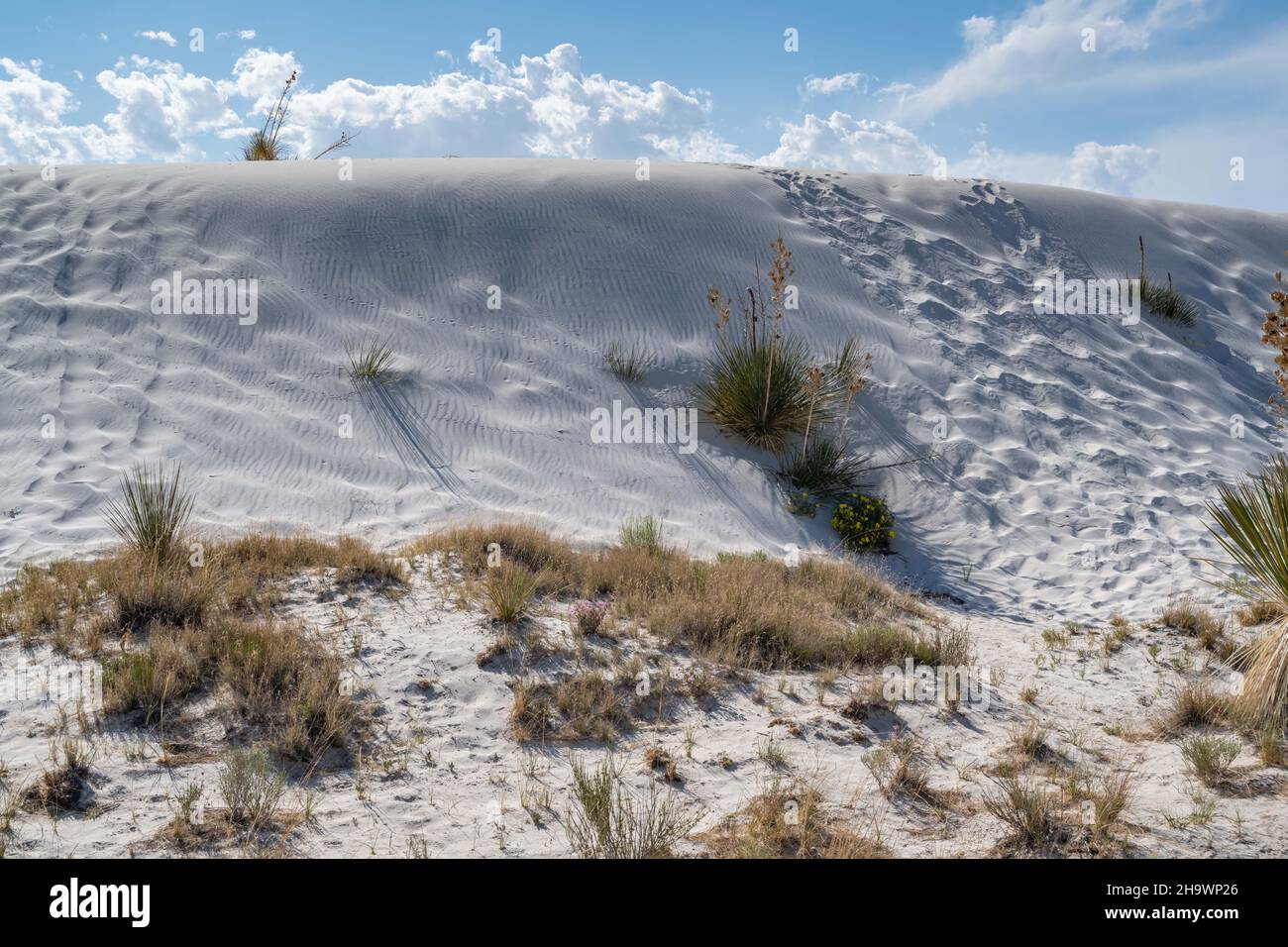 A beautiful overlooking view of nature in White Sands NP, New Mexico ...