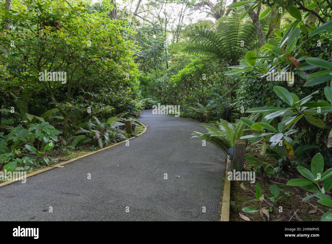 Huka falls walk hi-res stock photography and images - Alamy