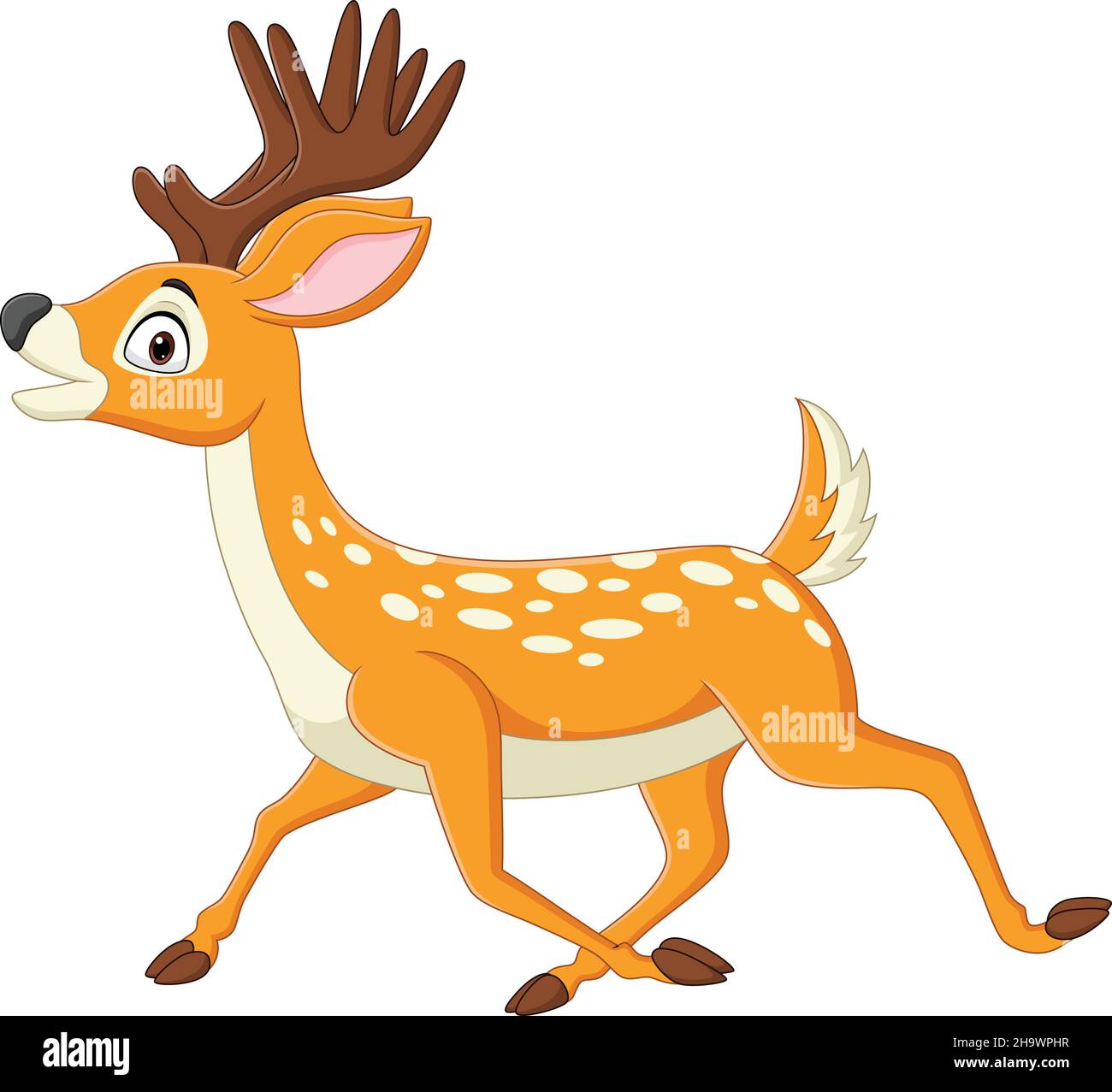 Cartoon deer walking on white background Stock Vector Image & Art - Alamy