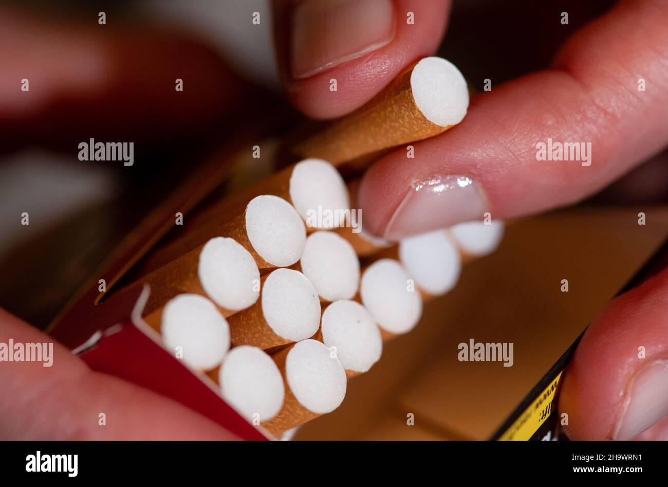 Munich, Germany. 08th Dec, 2021. A woman takes a cigarette from a pack ...