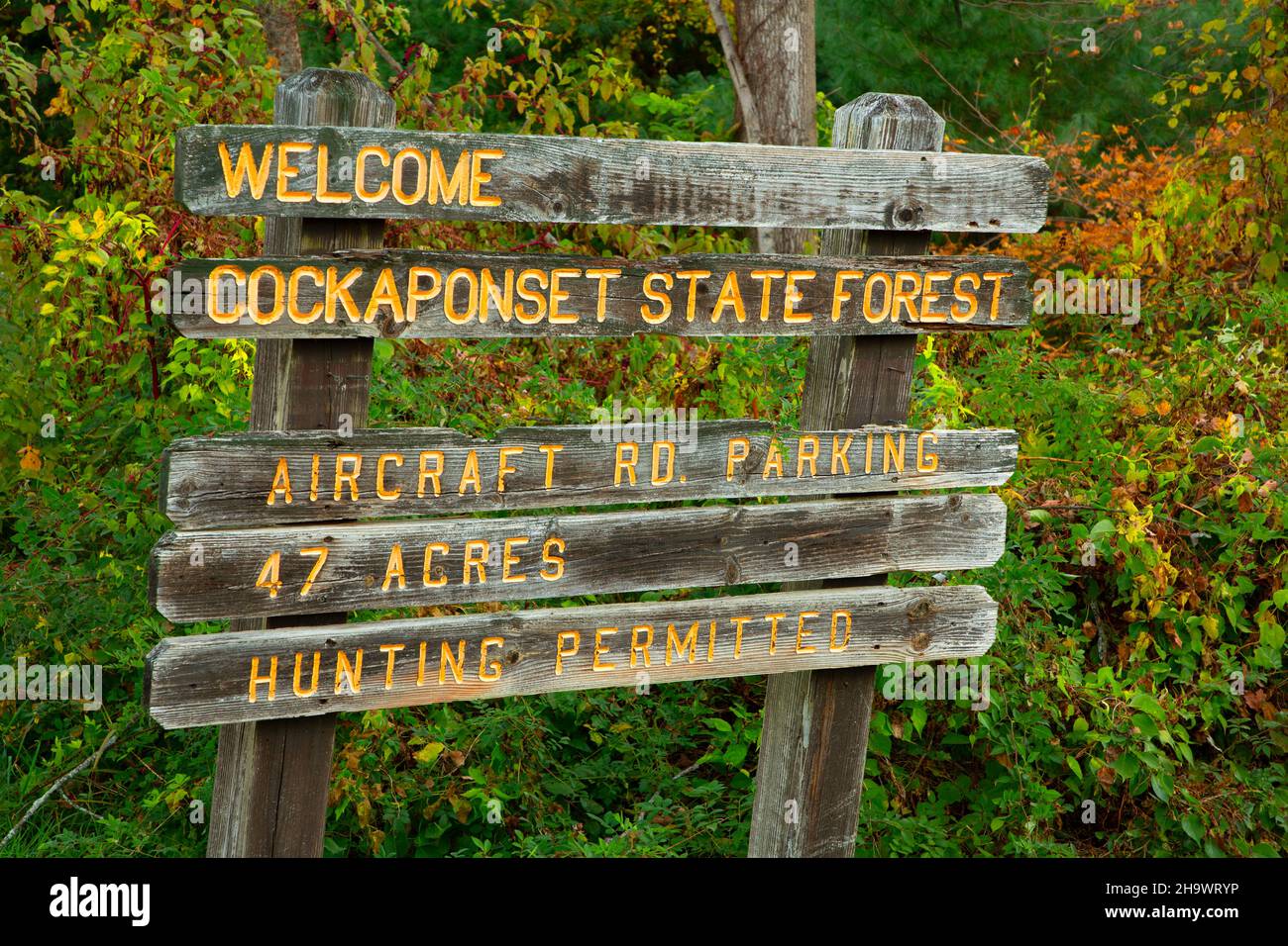 Entrance sign, Cockaponset State Forest, Connecticut Stock Photo - Alamy