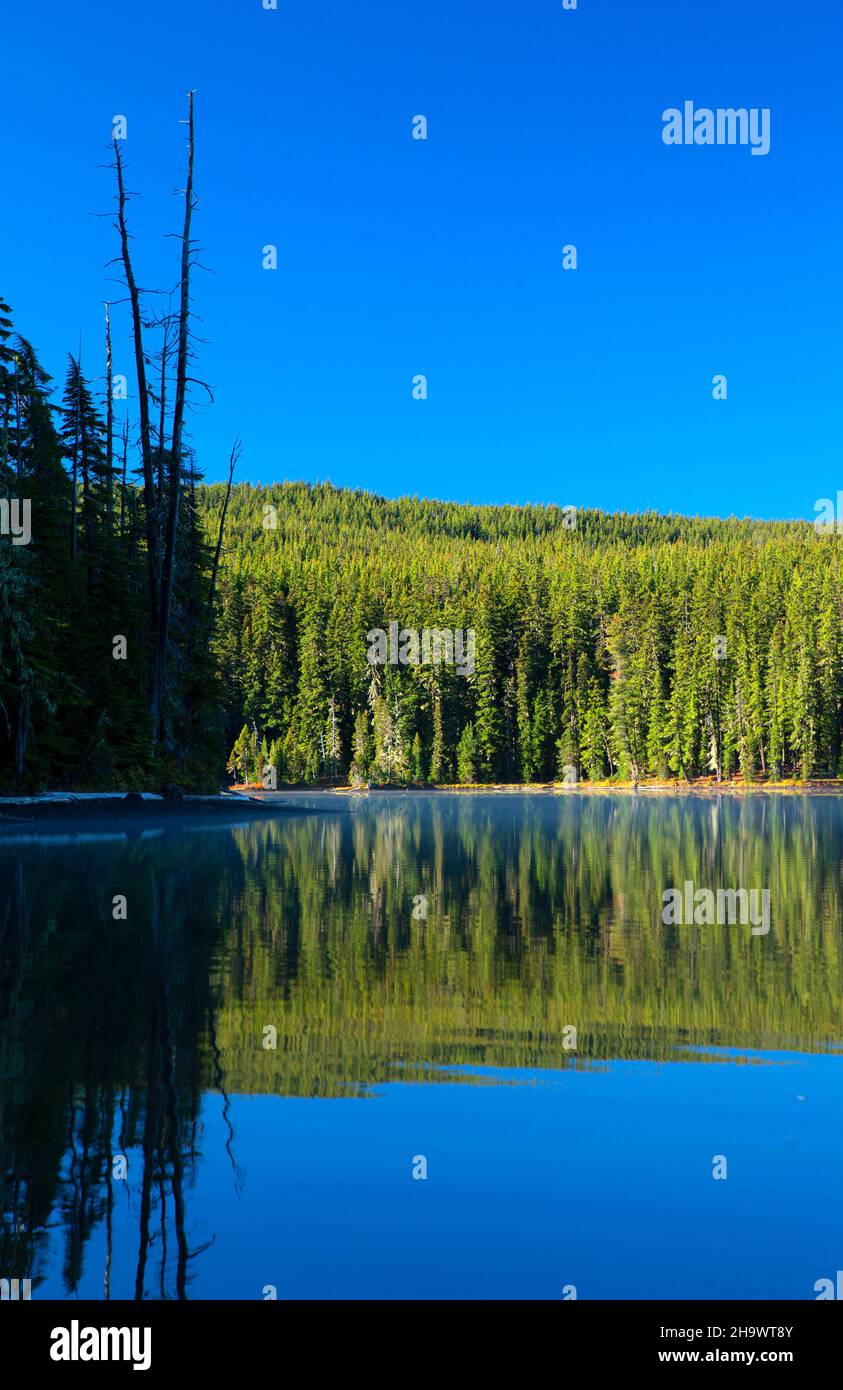 Charlton Lake, Deschutes National Forest, Oregon Stock Photo - Alamy