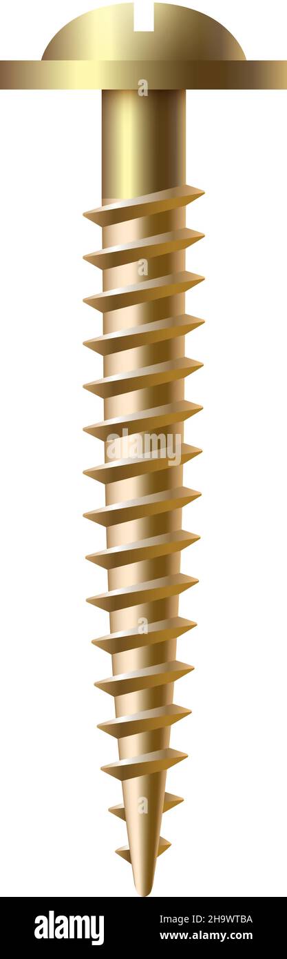 Slotted round washer screw. Gold metal fastener Stock Vector Image ...