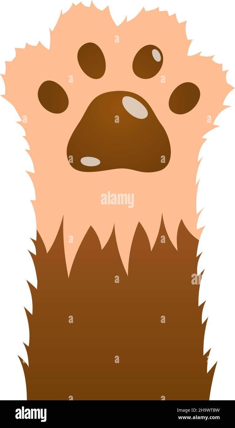 Animal brown paw. Cute furry cat feet Stock Vector Image & Art - Alamy