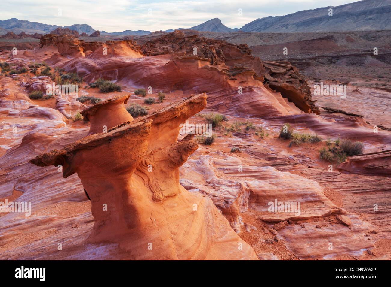Little Finland Near Mesquite Nevada USA Stock Photo Alamy little-finland-near-mesquite-nevada-usa-stock-photo-alamy