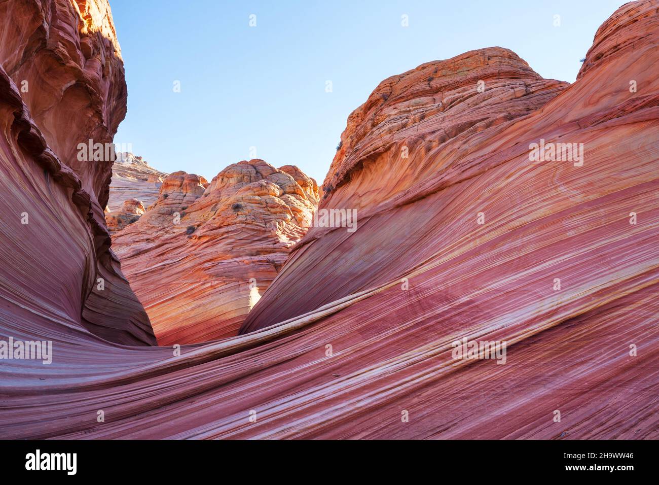 The Wave, Arizona, Vermillion Cliffs, Paria Canyon State Park in the ...