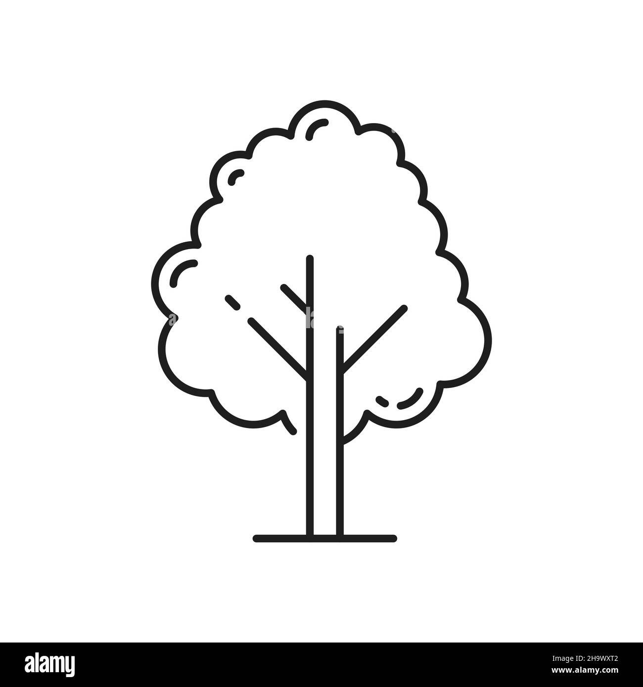 Park tree isolated thin line jungle garden plant, outline forest ...