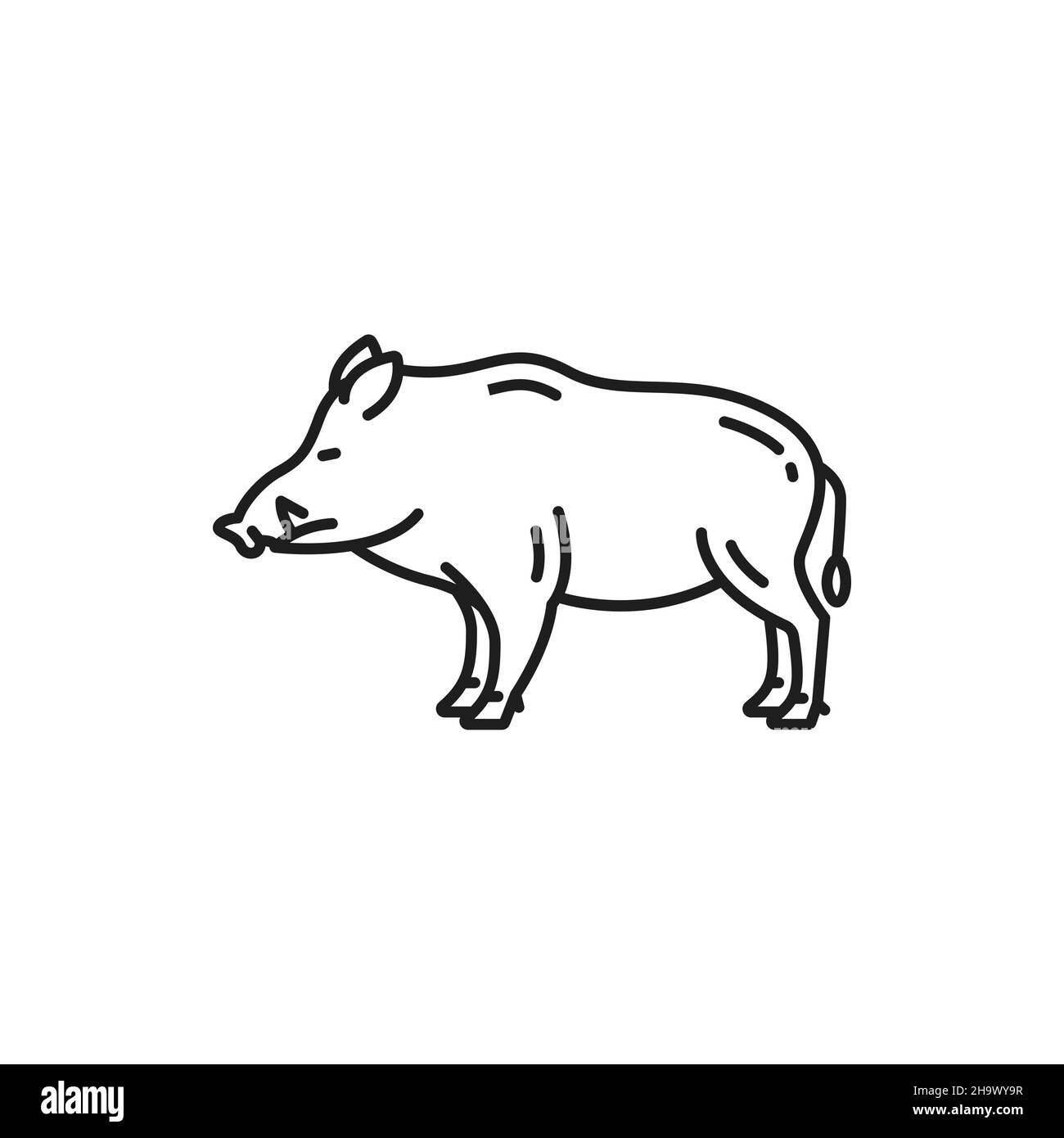 African swine boar Black and White Stock Photos & Images - Alamy