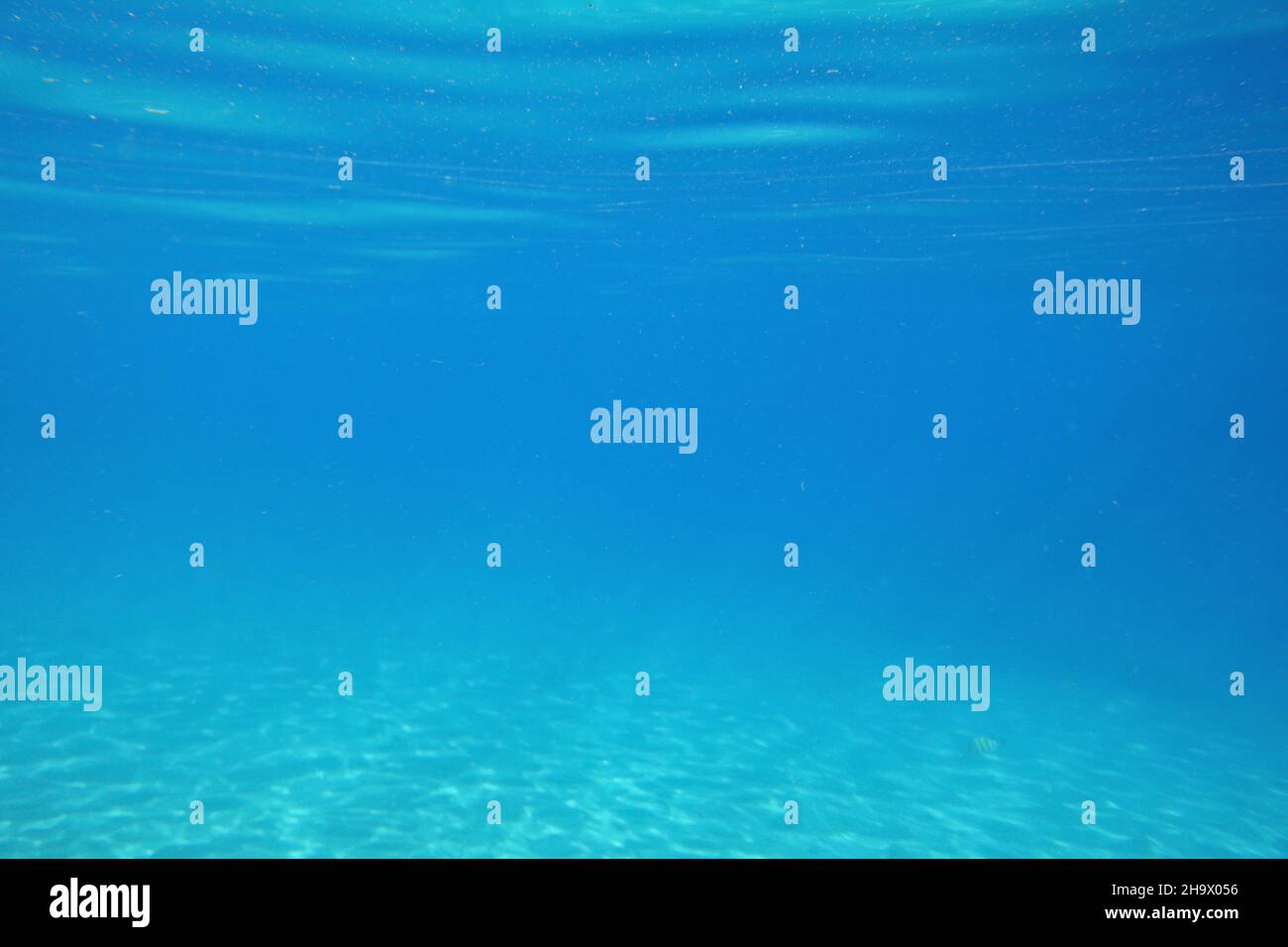 Great underwater view Stock Photo - Alamy