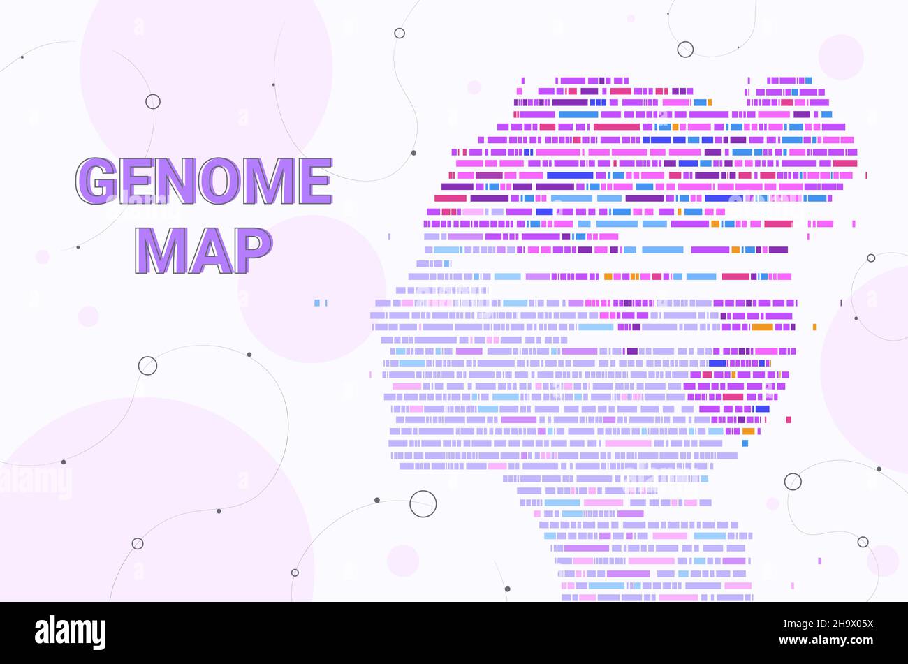 big genomic data with woman face genome sequence map horizontal Stock ...