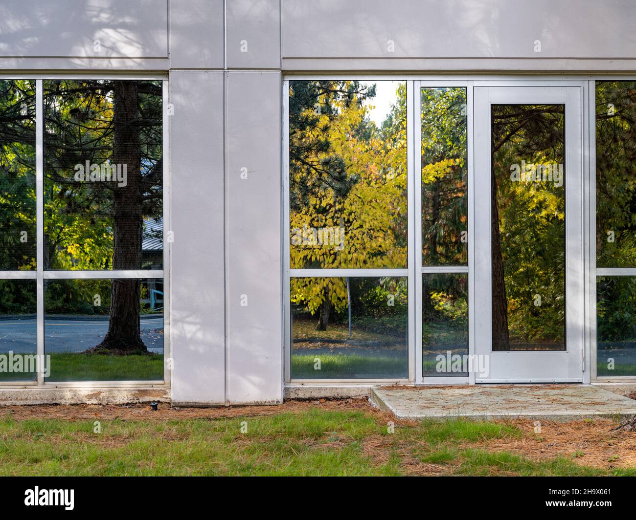 Autumn foliage is reflected in the lower windows of a modern office ...