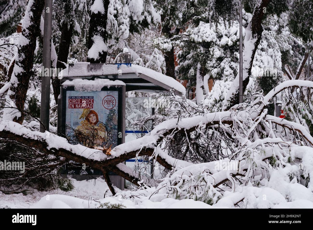 Madrid, Spain - January 9, 2021: Street view covered in snow with ...
