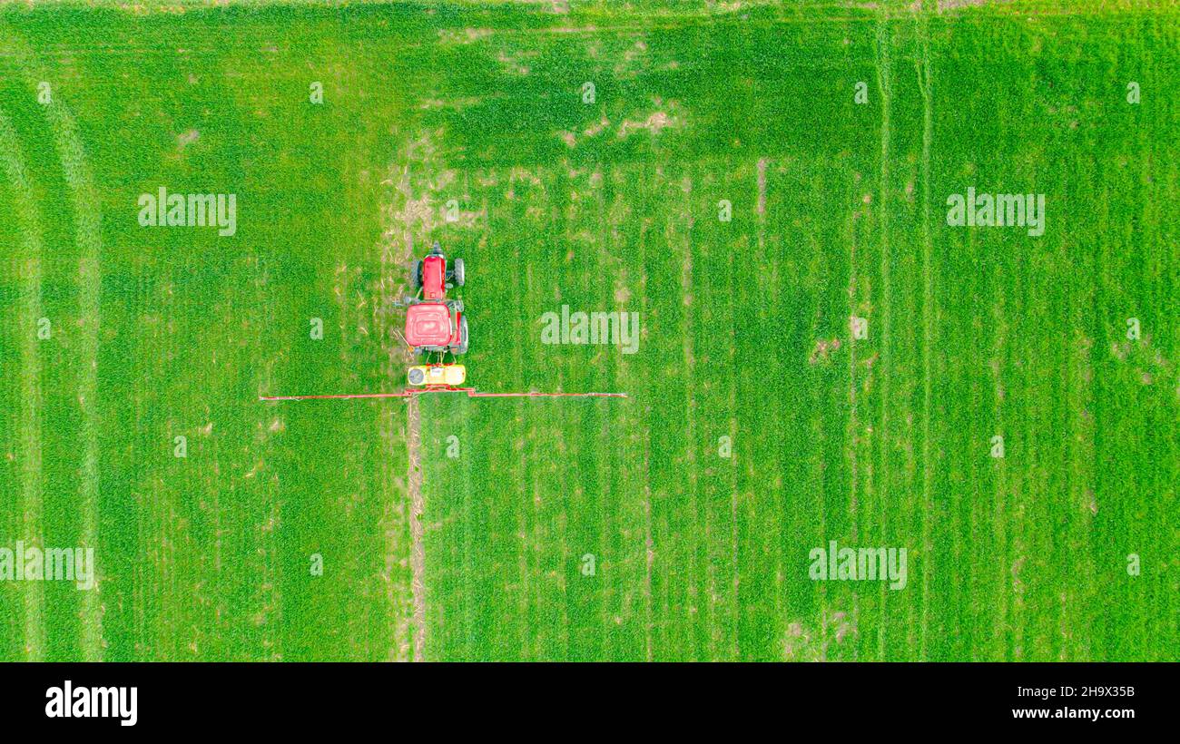 Above top view, overhead view on tractor as spraying farmland with ...