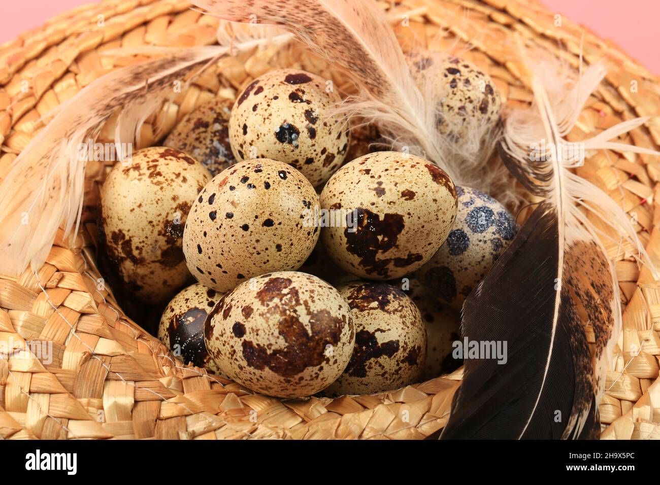 quail eggs in a straw hat on a pink background Stock Photo - Alamy