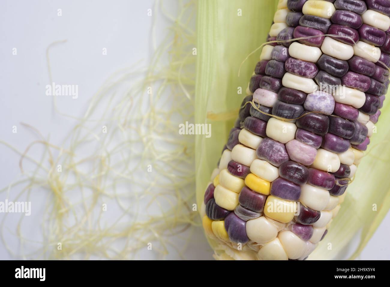 Mixed plantation hi-res stock photography and images - Alamy