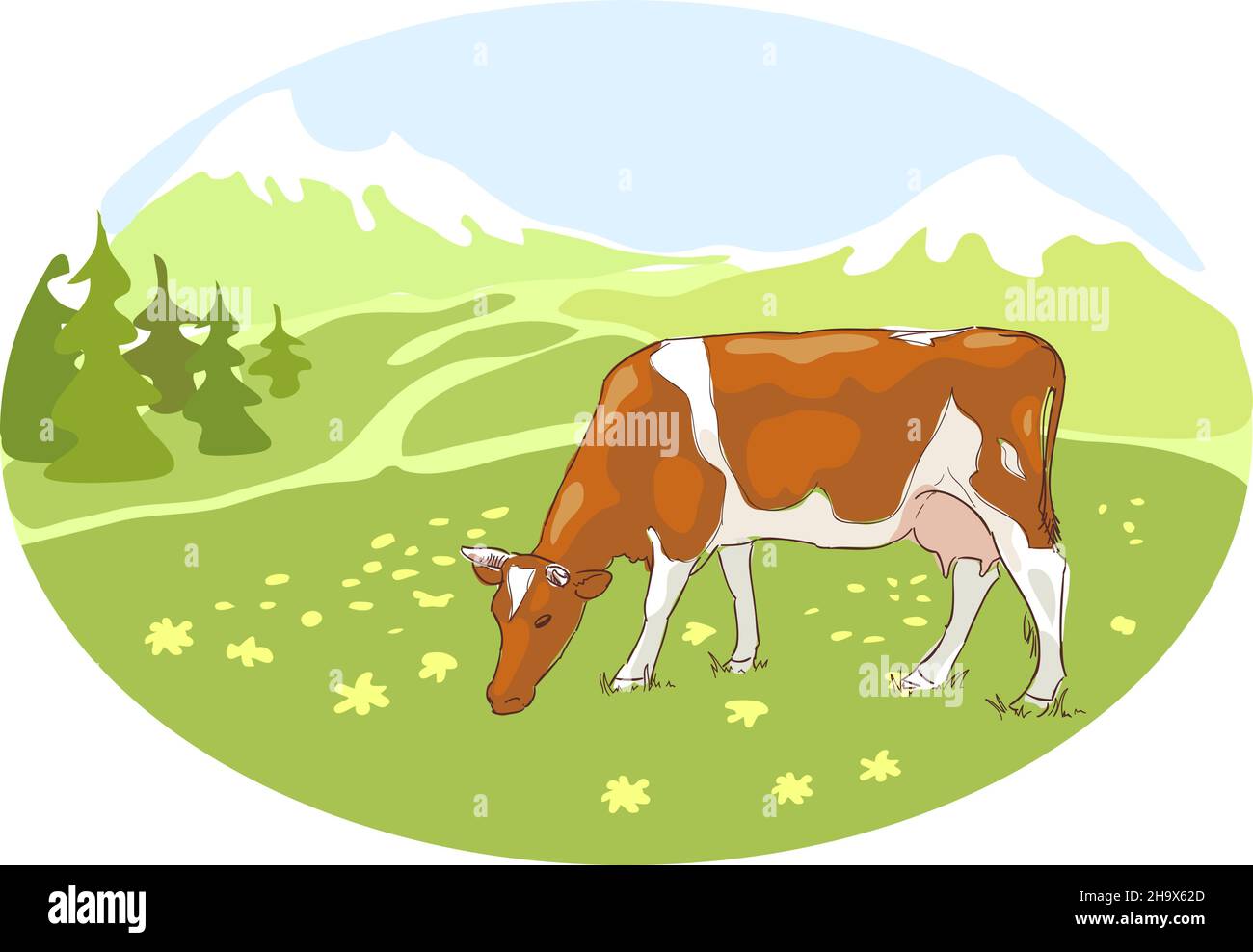 Close up brown alpine cow Stock Vector Images - Alamy