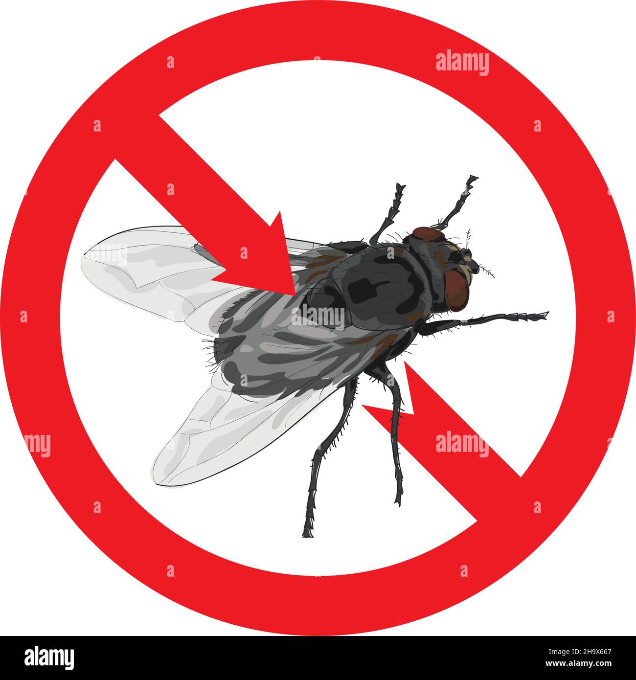 Flies banned. Sign prohibited. Vector illustration Stock Vector Image ...