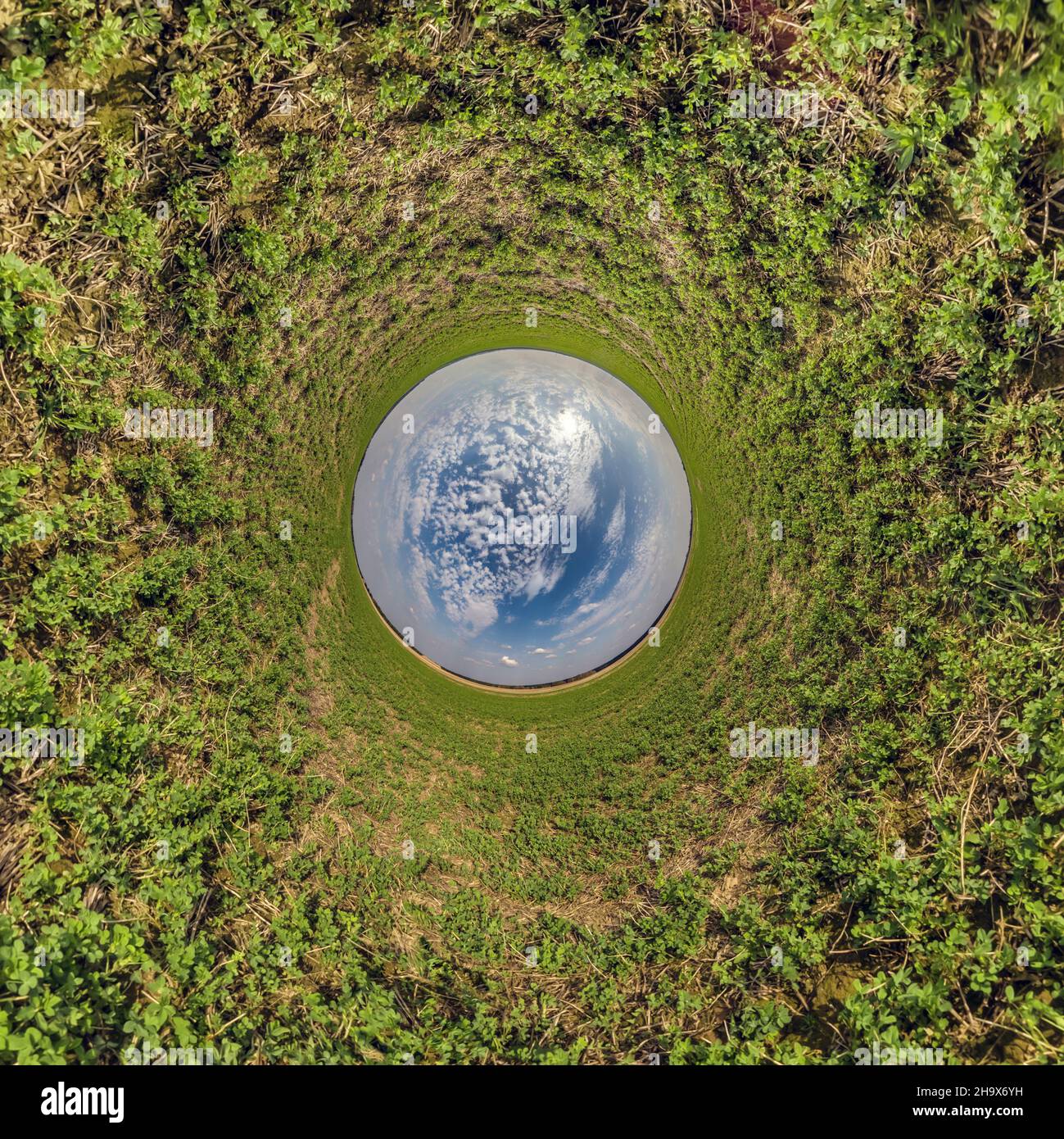 blue sphere little planet inside green grass round frame background ...
