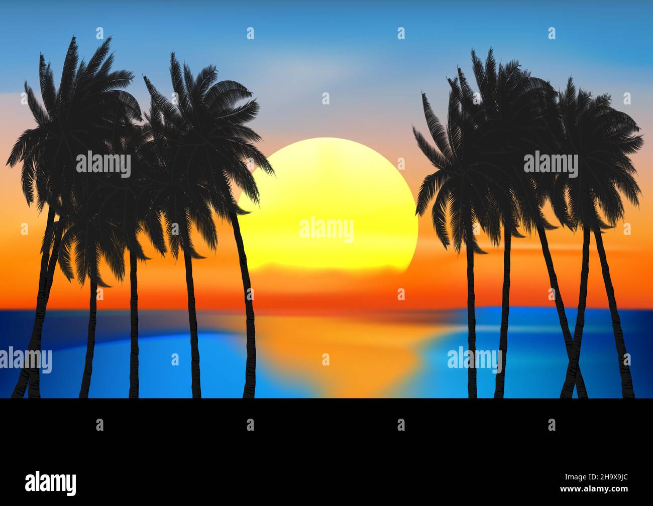landscape view drawing palm tree and sunset at the ocean vector ... landscape view drawing palm tree and sunset at the ocean vector ...