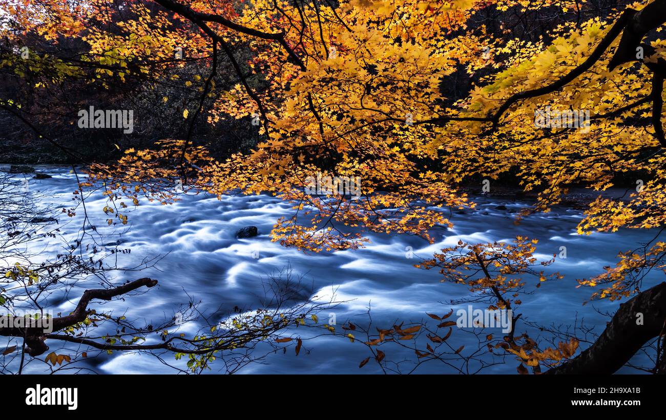 The Oirase Stream (Oirase Keiryū) is a picturesque mountain stream in ...