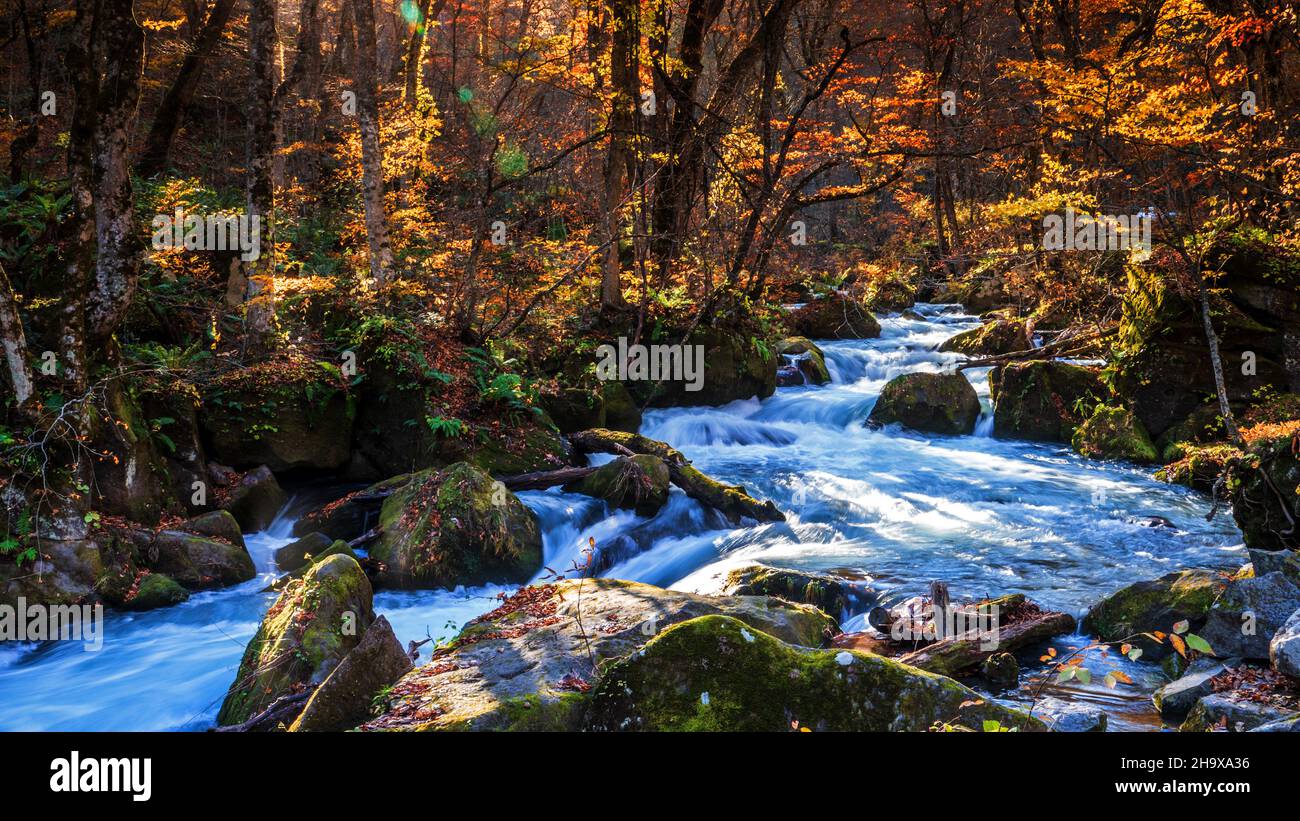 The Oirase Stream (Oirase Keiryū) is a picturesque mountain stream in ...