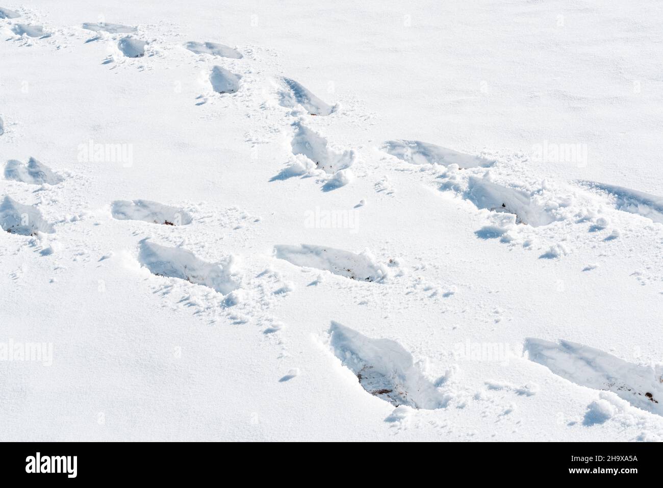 Human footprints in deep snow Stock Photo - Alamy