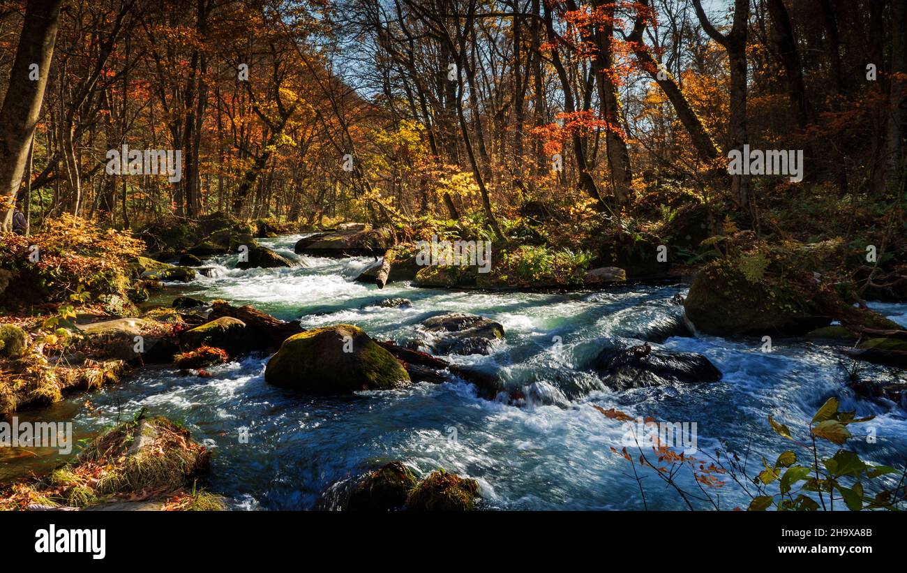 The Oirase Stream (Oirase Keiryū) is a picturesque mountain stream in ...