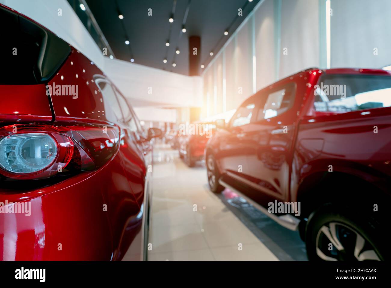 Rear view of red car parked in luxury showroom. Car dealership office ...