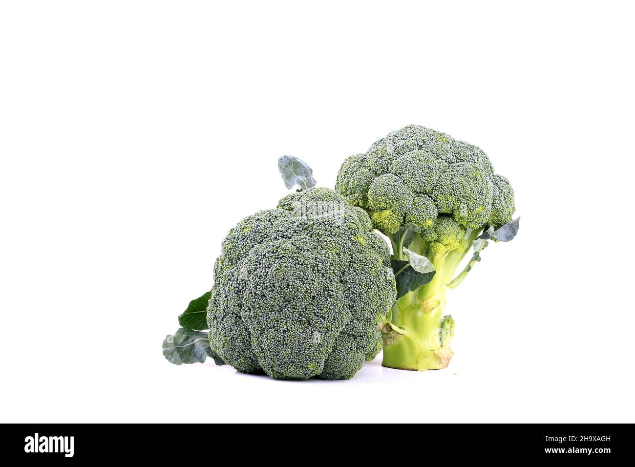 broccoli isolated on white background Stock Photo - Alamy