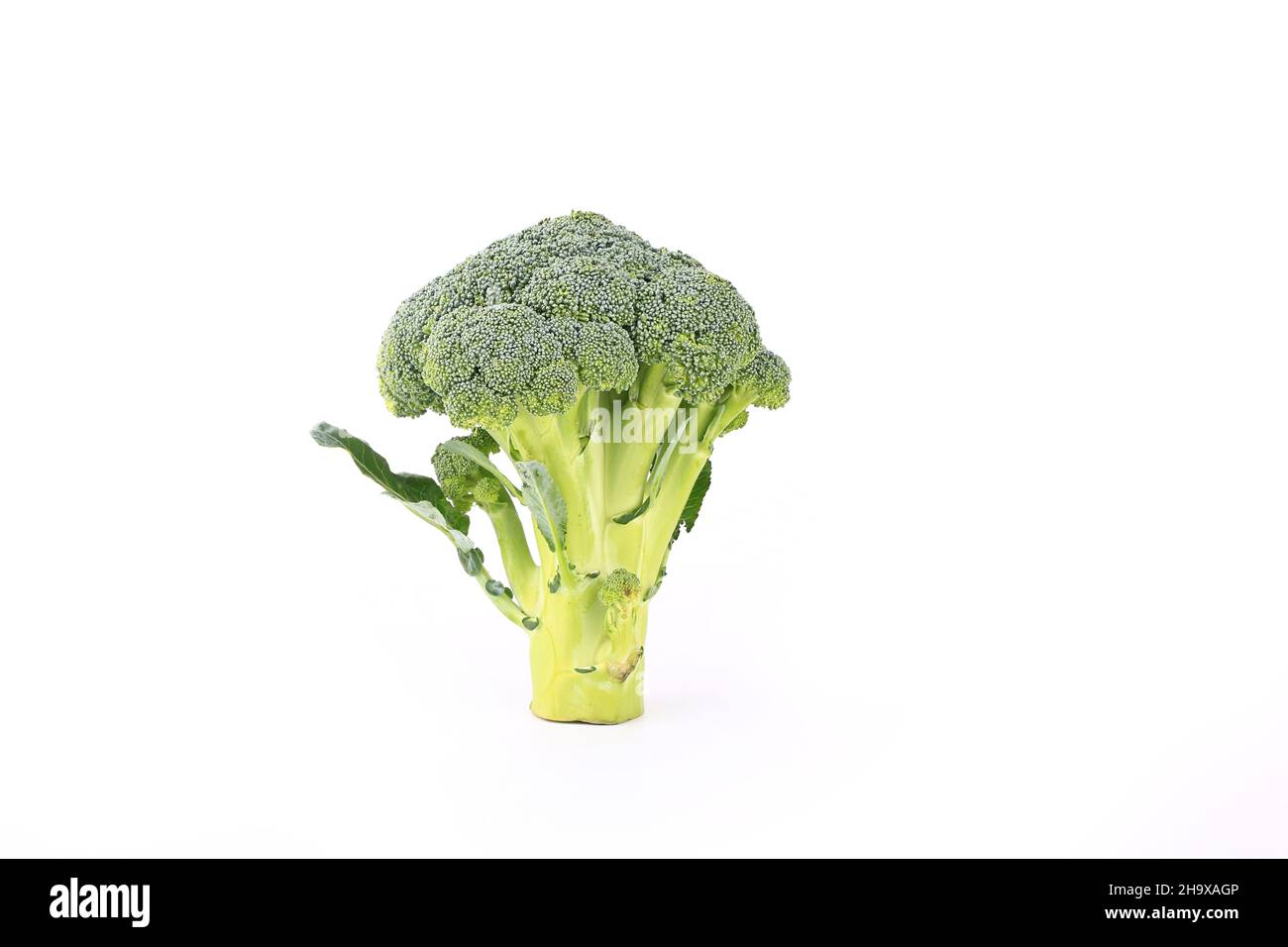 broccoli isolated on white background Stock Photo - Alamy