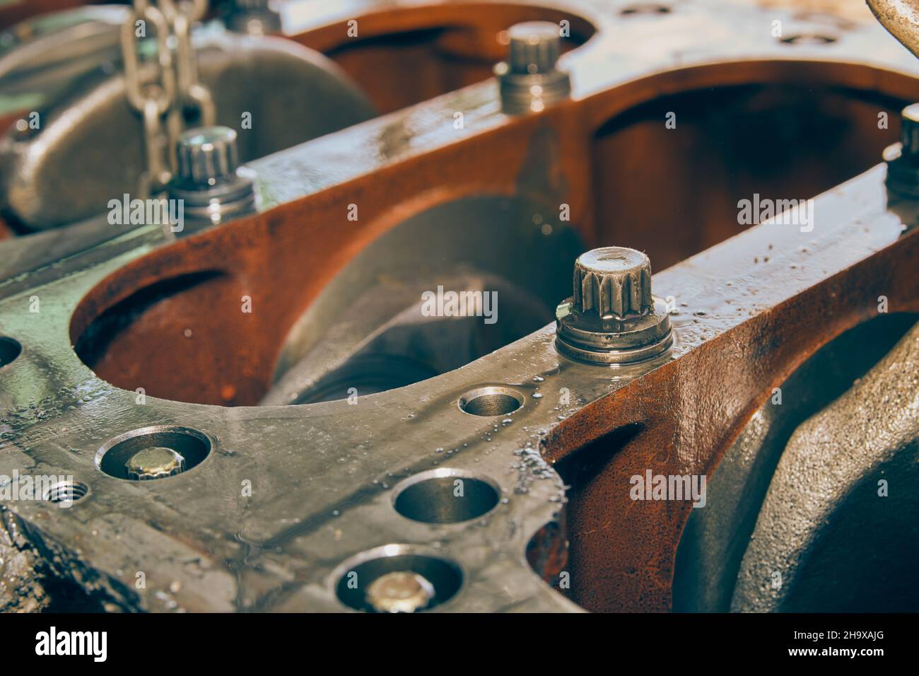 Wide View Right Frame Cylinder Block Bolt and Crankshaft and Engine Oil ...