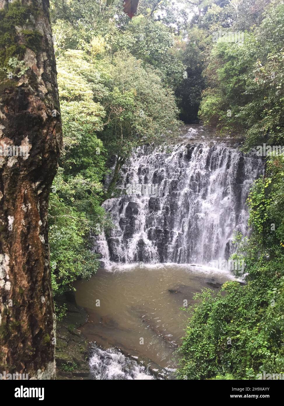 Scenery shot of Elephant Falls in Shillong, India Stock Photo - Alamy