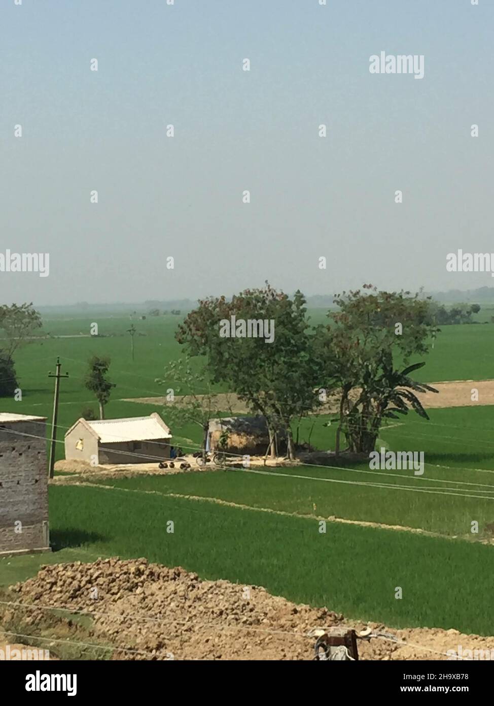 Hut in the fields of Bardhaman, West Bengal Stock Photo - Alamy