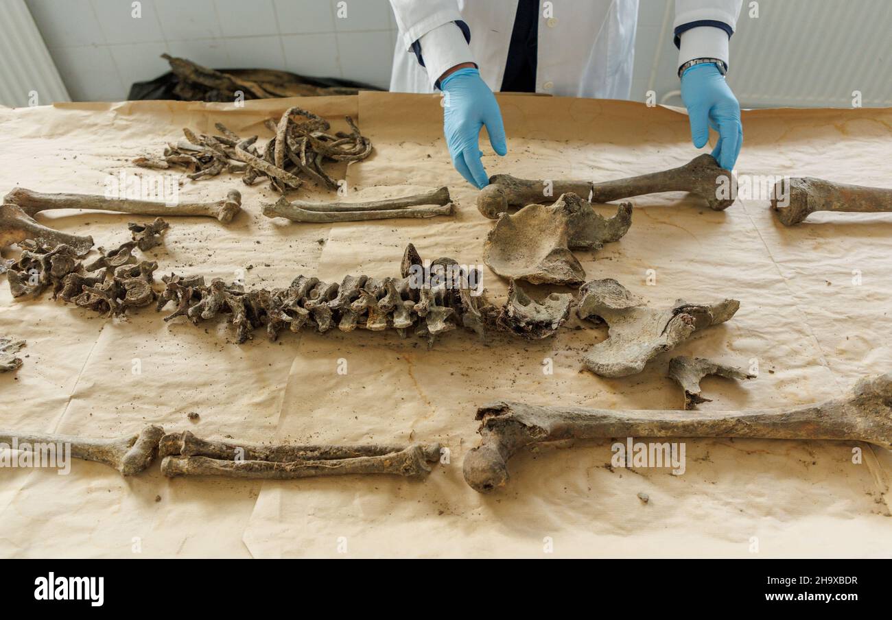 Forensic identification hi-res stock photography and images - Alamy