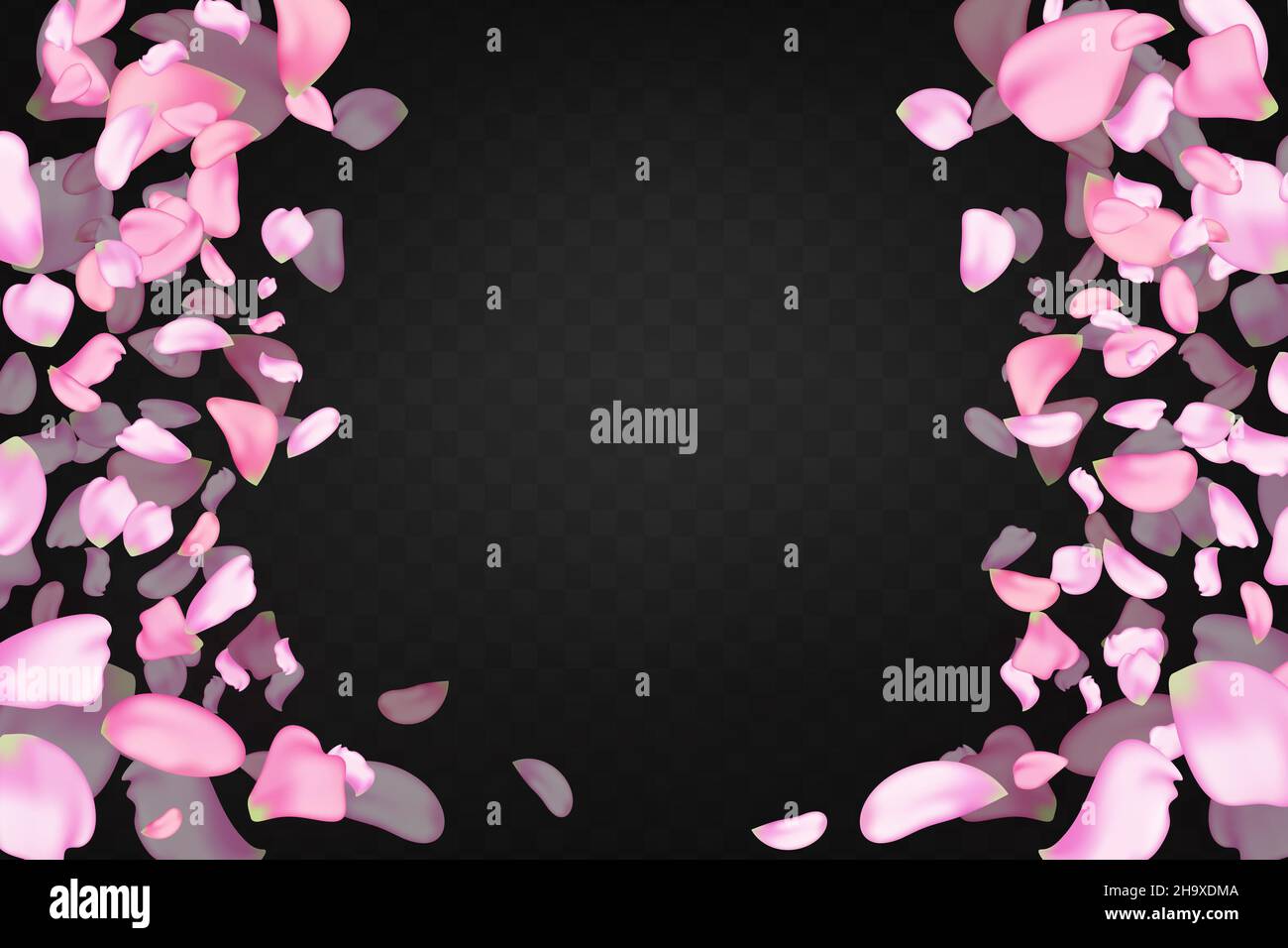 Nature horizontal background.Pink falling sakura petals and flowers ...