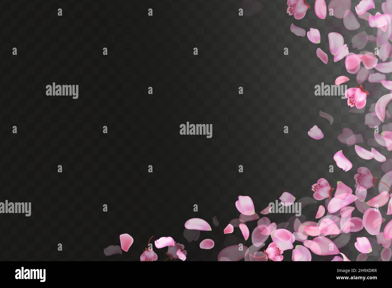 Nature horizontal background.Pink falling sakura petals and flowers ...