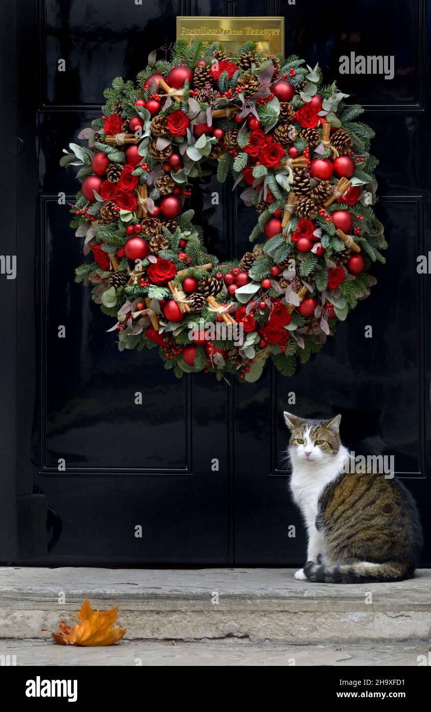 Larry the Cat - Chief Mouser to the Cabinet Office since 2011 - in ...