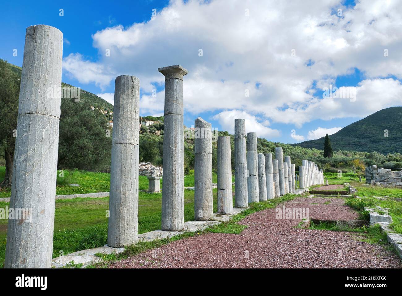 Ancient Greece. Ancient Messene, one of the most important cities of ...