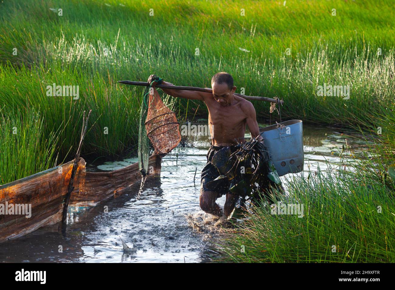 Jute field hi-res stock photography and images - Alamy