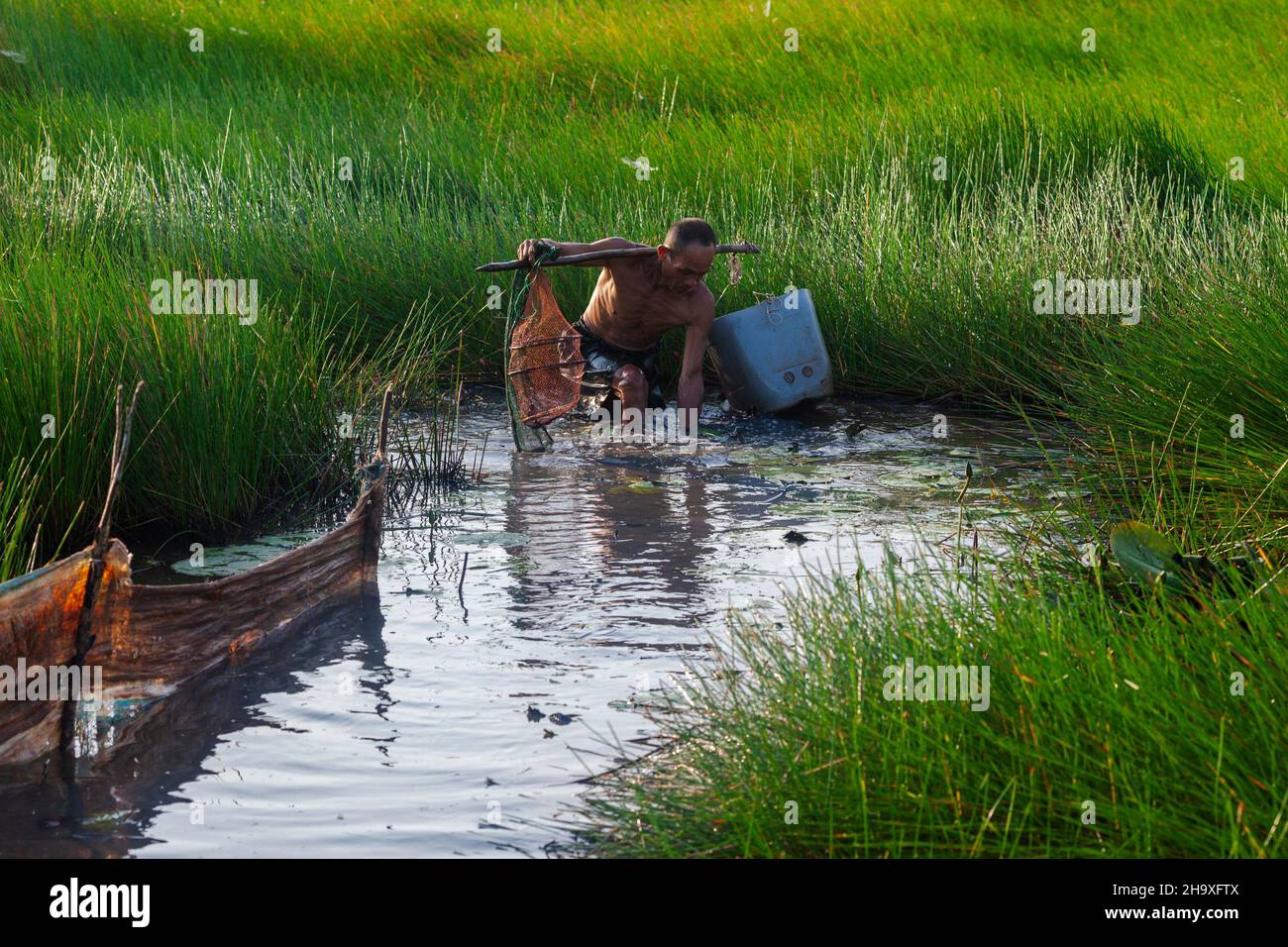The man goes to work in the jute field, this is the daily work of the ...