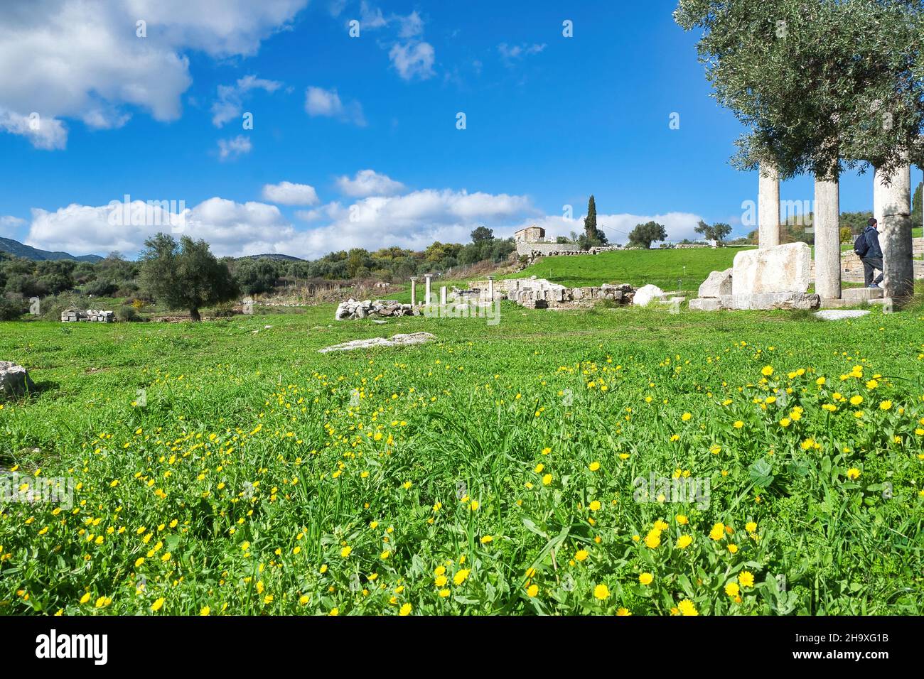 Ancient Messina: A leading archeological site, more important than ...