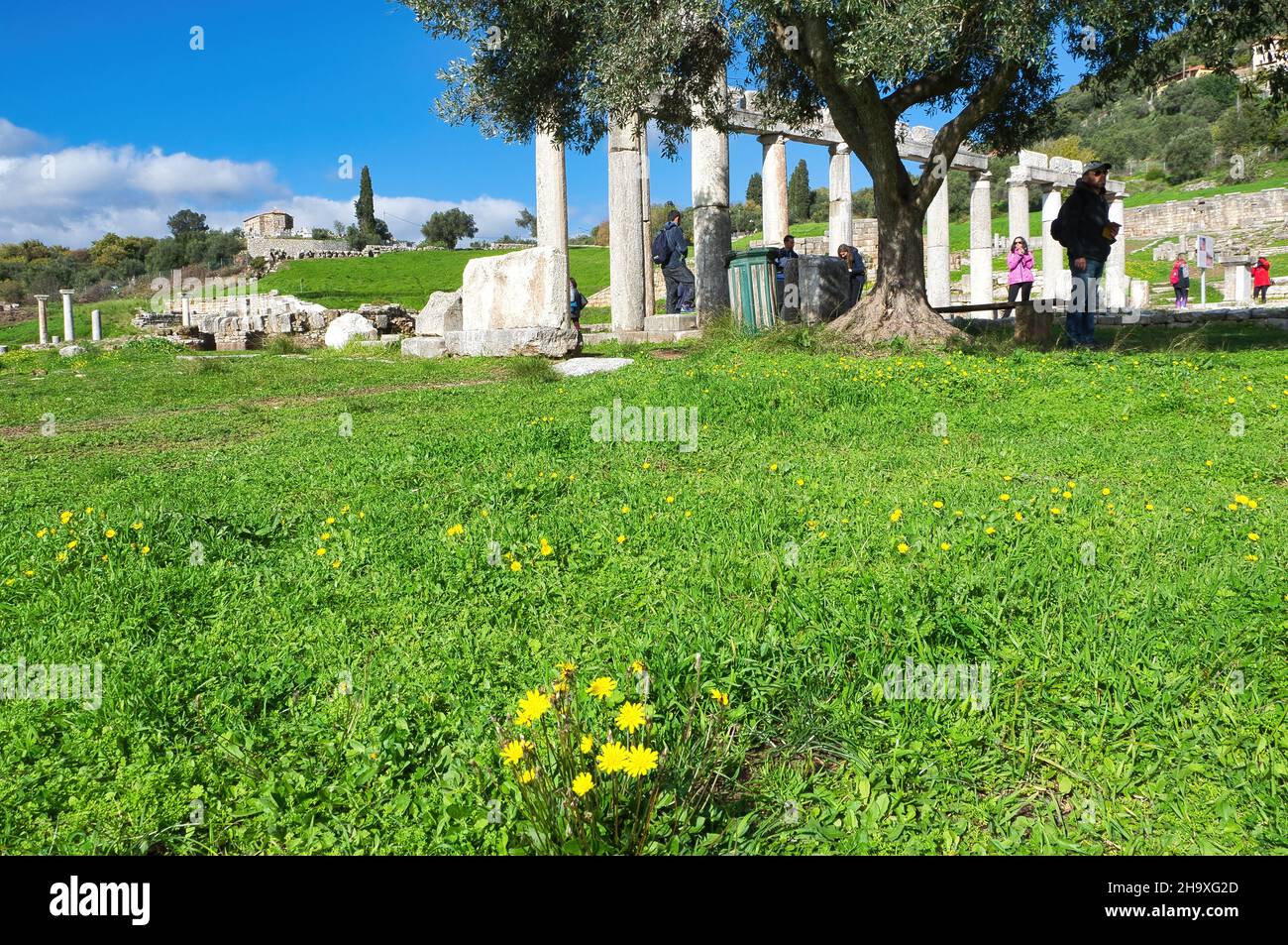Ancient Messina: A leading archeological site, more important than ...
