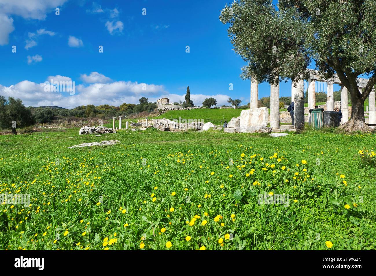 Ancient Messina: A leading archeological site, more important than ...